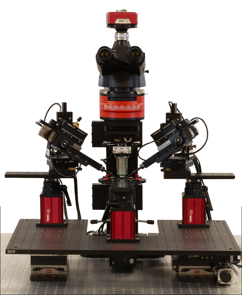 Thorlabs.com - Thorlabs Imaging Systems