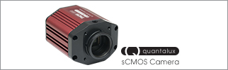 CCD & CMOS Cameras - Thorlabs