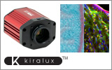 CCD & CMOS Cameras - Thorlabs