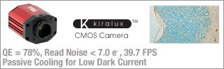 CCD & CMOS Cameras - Thorlabs